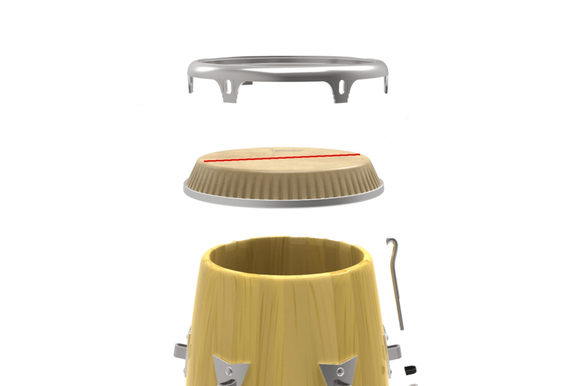 Anatomy Of A Conga Drum | Remo