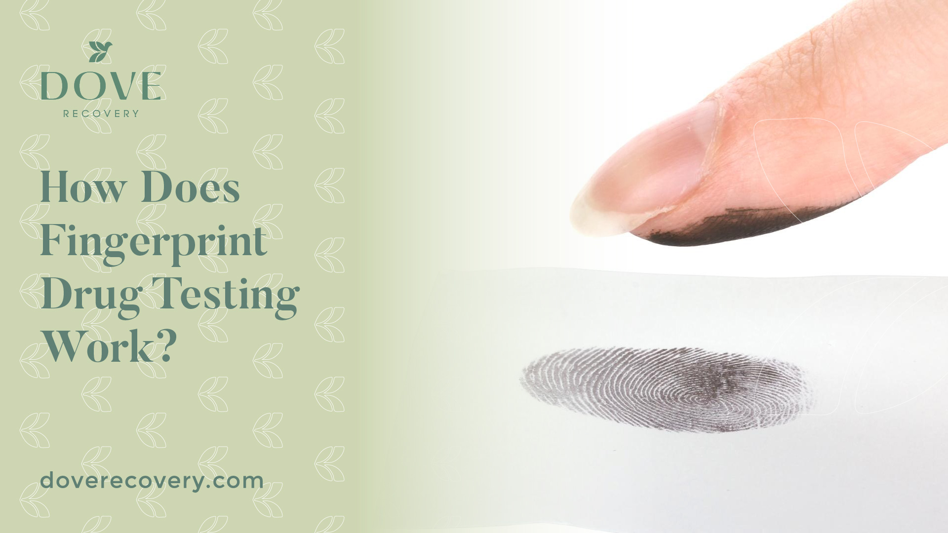 How Does Fingerprint Drug Testing Work?
