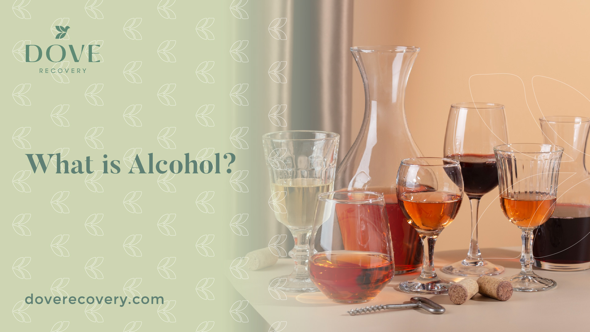 What is Alcohol?