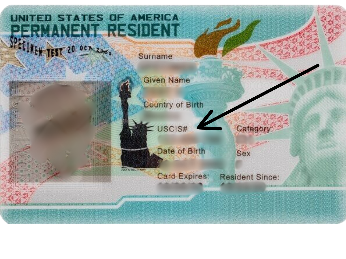 Deciphering the Alien Registration Number: A Guide