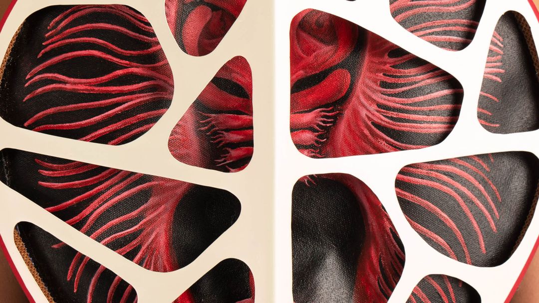 Wellington 'The Skin I Am In', Katherine Bertram, New Zealand | WOW