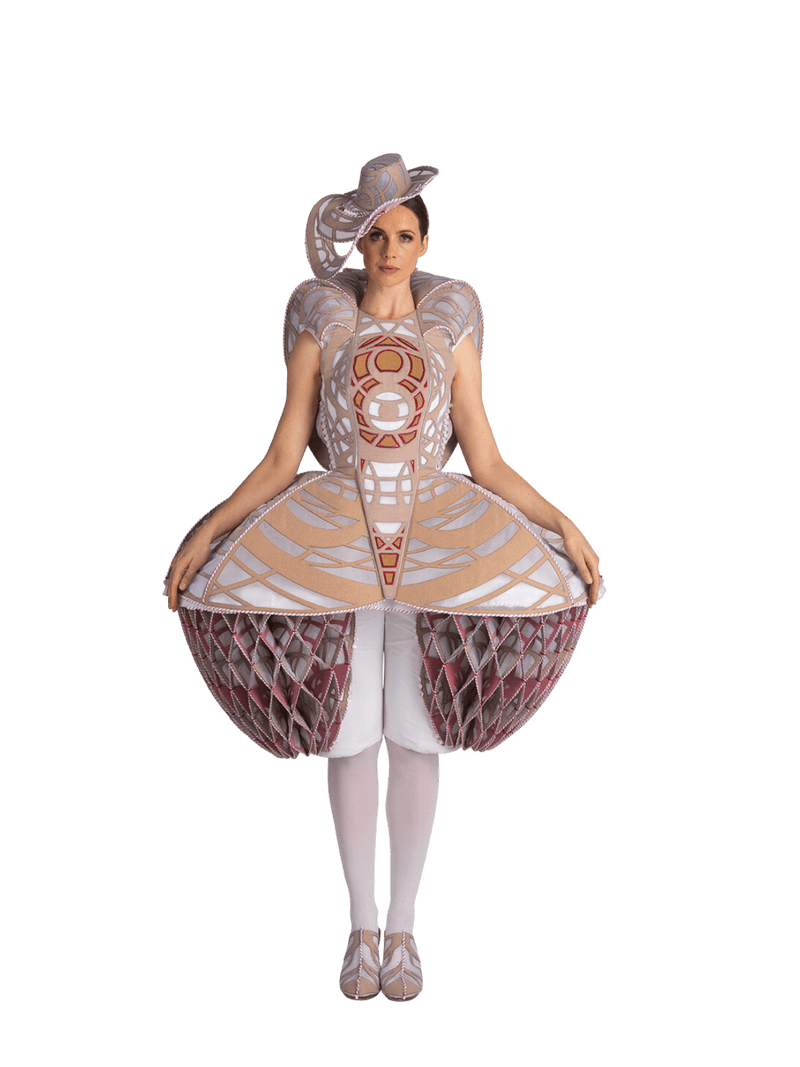 Competition Process | WOW Competition