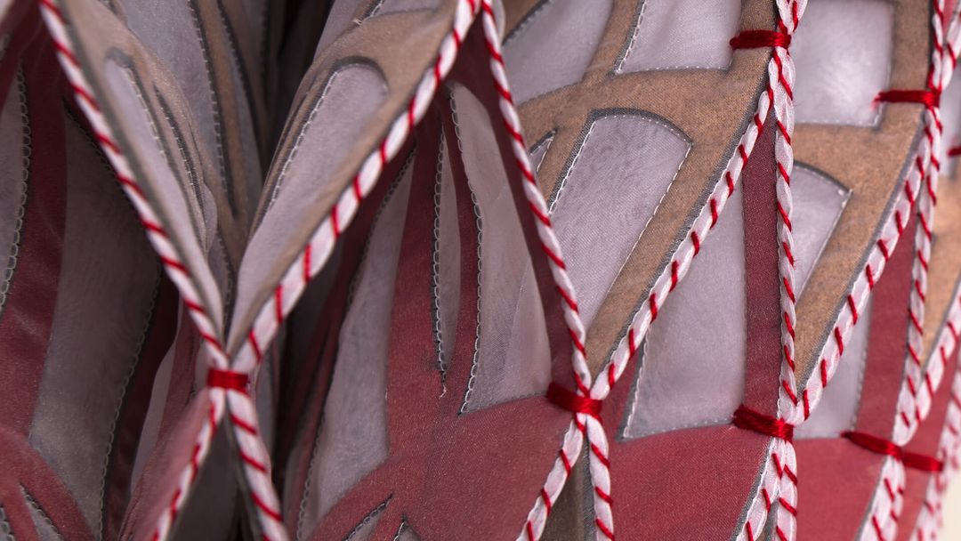 Competition Process | WOW Competition