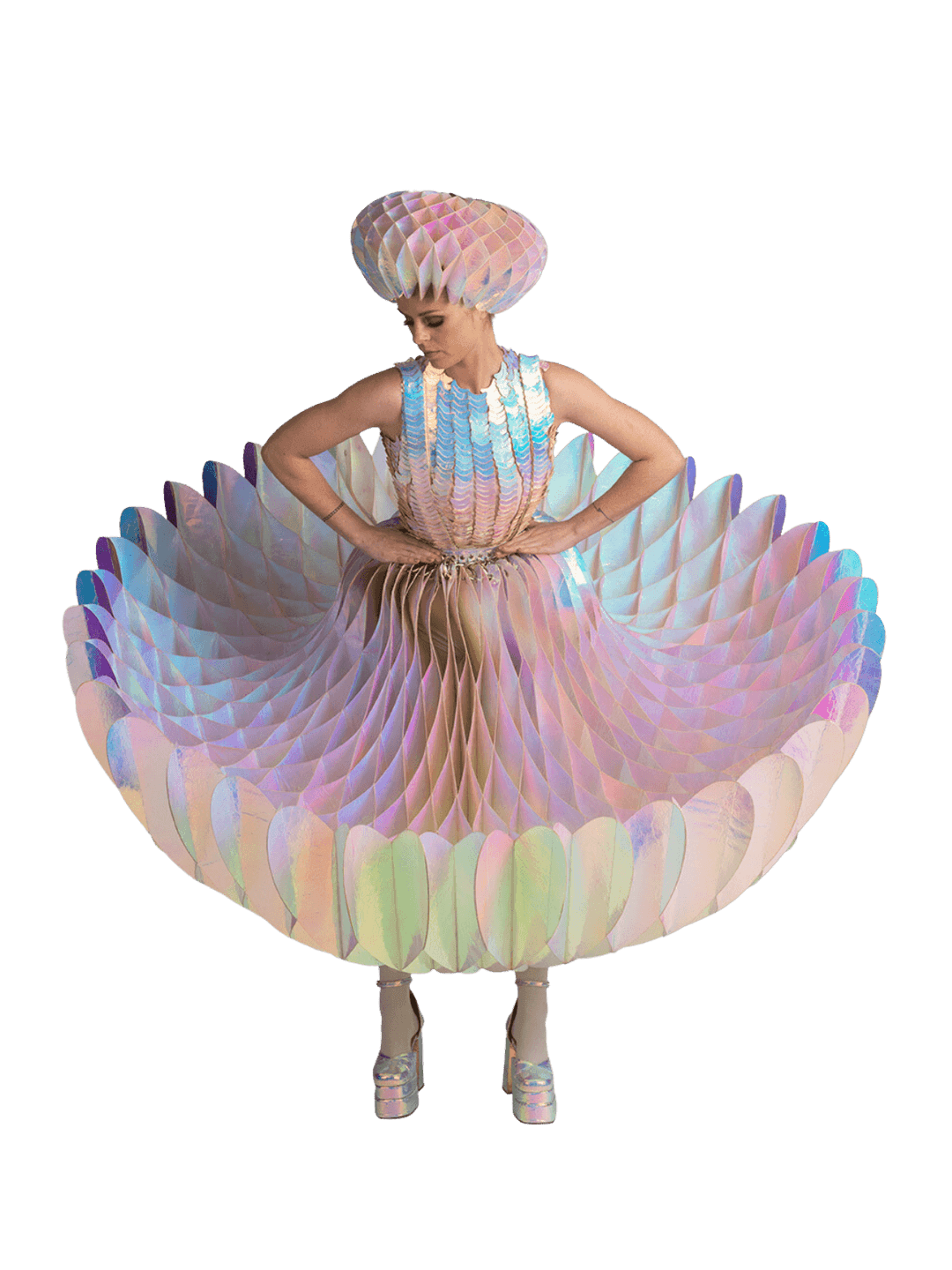 Key Dates & Deadlines | WOW Competition