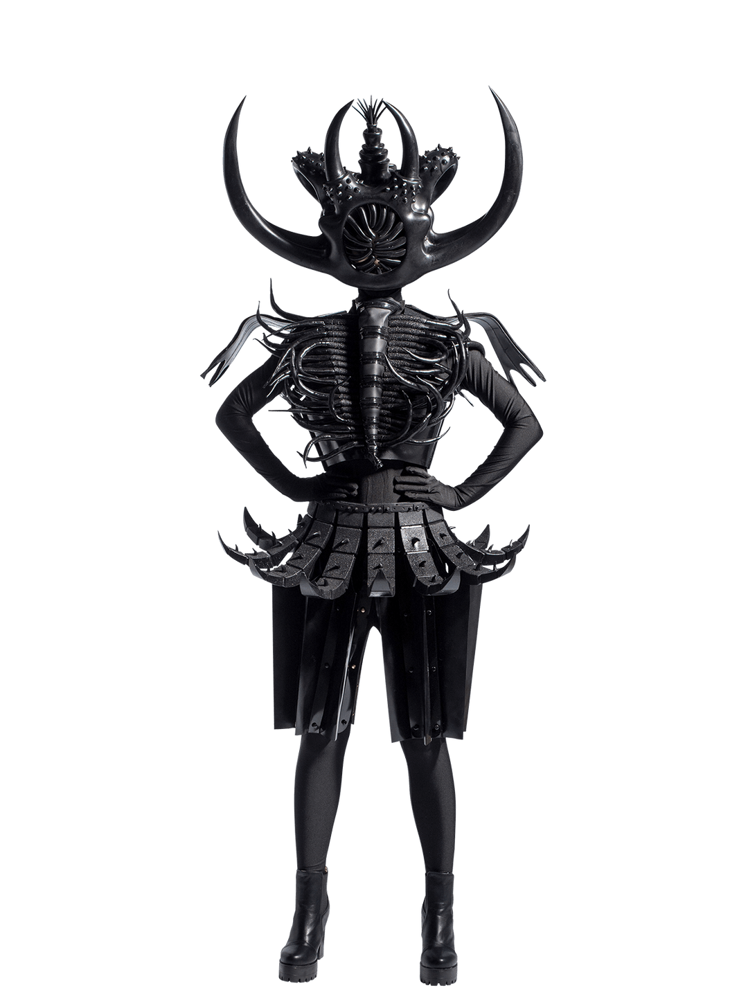 Cambrian Regeneration, Xu Ran, China | WOW