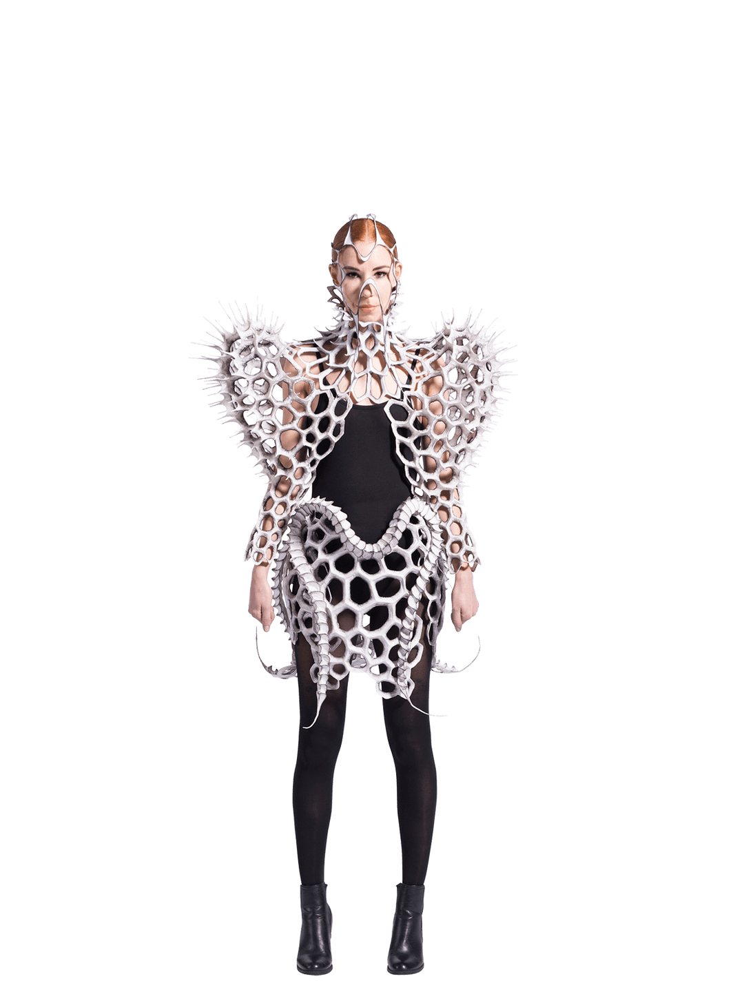 Key Dates & Deadlines | WOW Competition