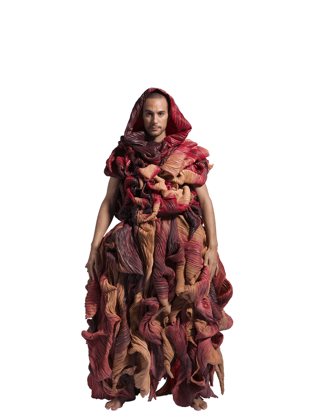 Birth of the Babel Fish, Lynnette Griffiths & Marion Gaemers, Australia ...