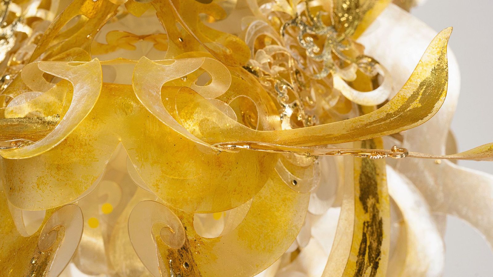 Competition Rules | WOW Competition