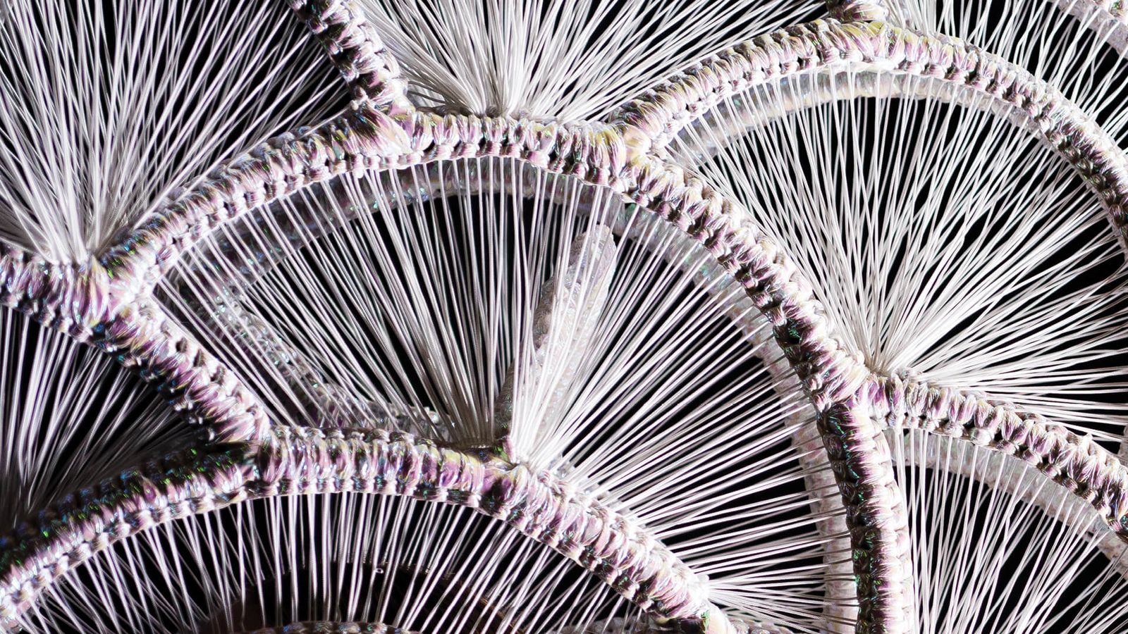 Key Dates & Deadlines | WOW Competition