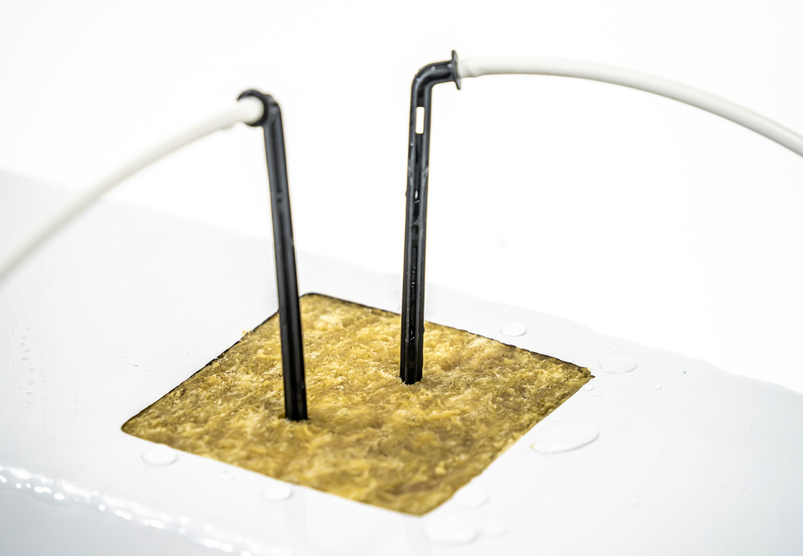 Water Conditioners for Growers | Athena