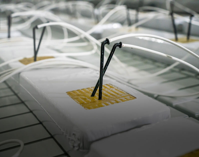 Line Cleaning | Athena Renew and Reset for Growers