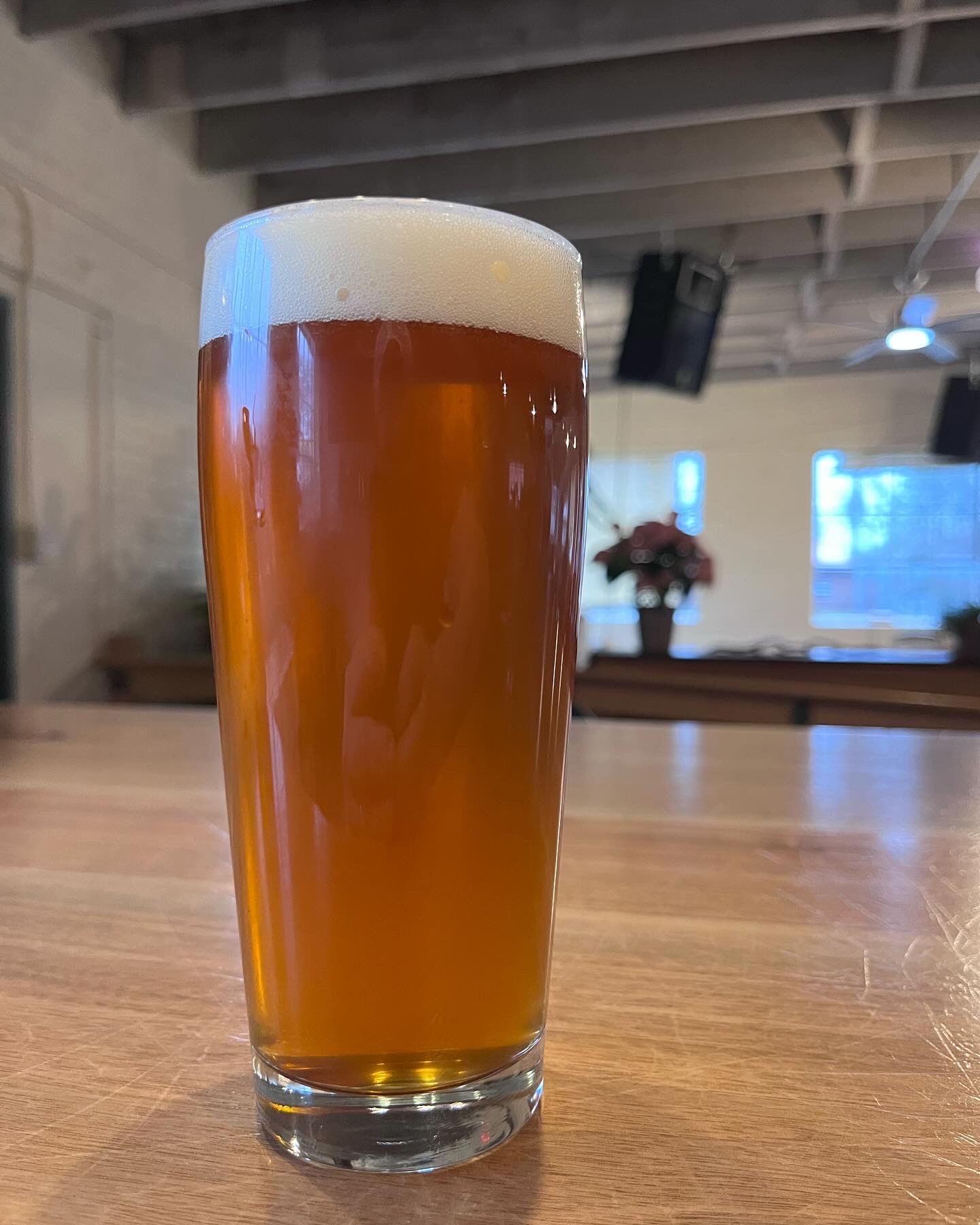 Sweetbay Brewing Co - Webflow HTML website prototype