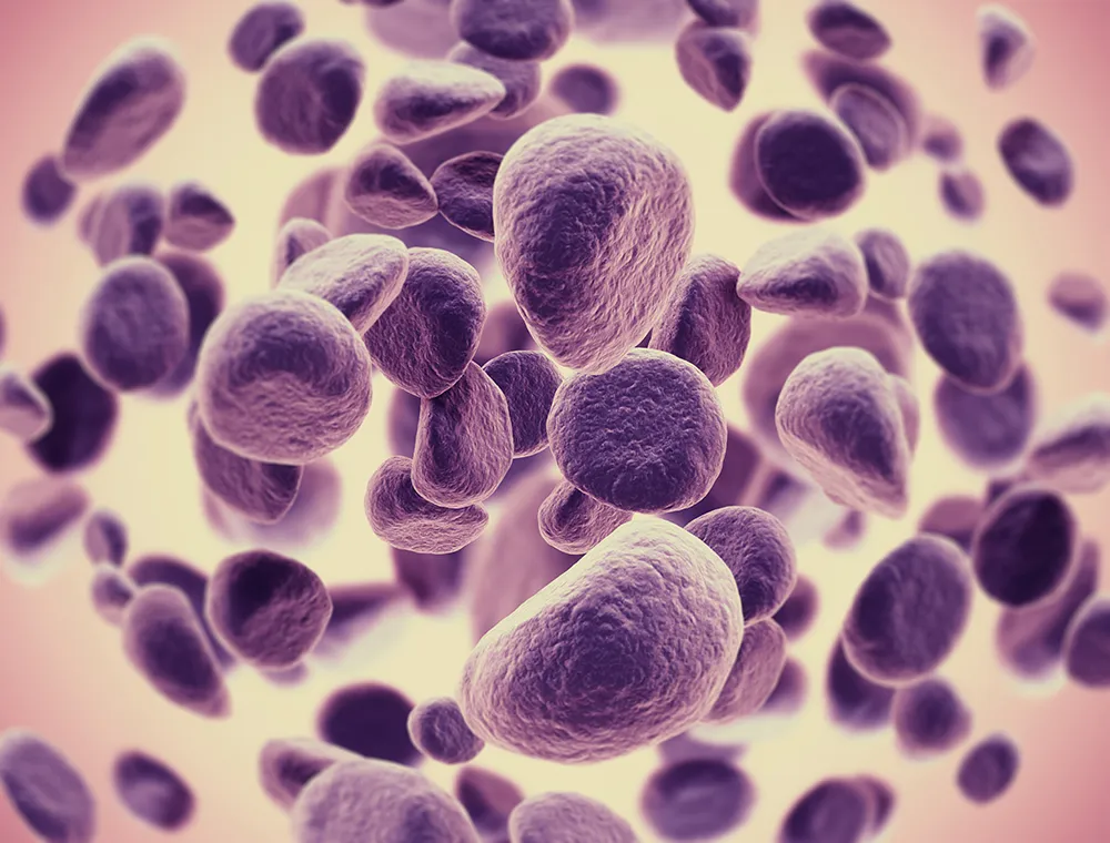 The Truth About Cancer: A Global Quest | The Burghwood Clinic