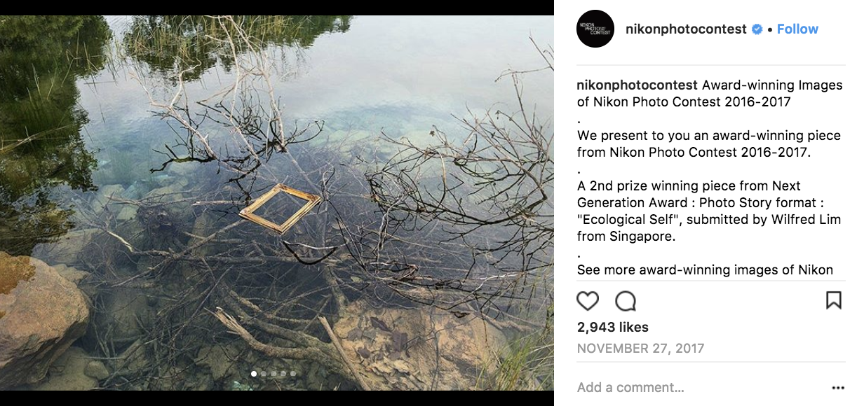 How to Create a Successful Instagram Photo Contest for Business