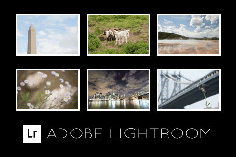 Guide: How to Make a Newsletter More Engaging