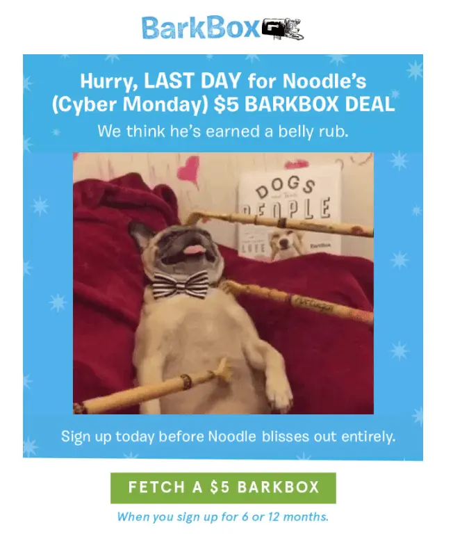 What We Can Learn From 3 Pet-Friendly Email Designs