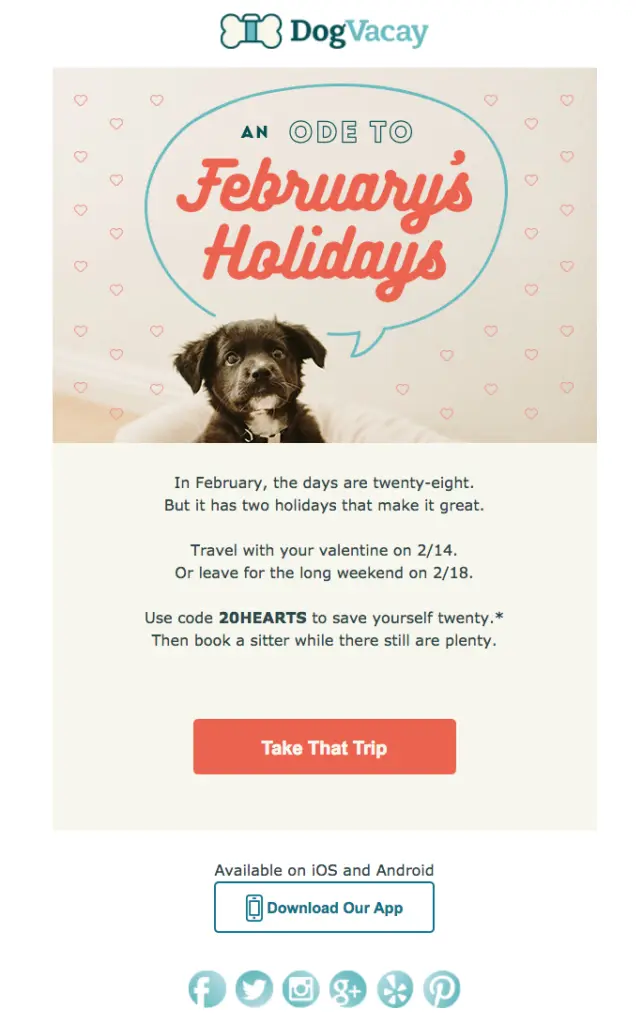 What We Can Learn From 3 Pet-Friendly Email Designs