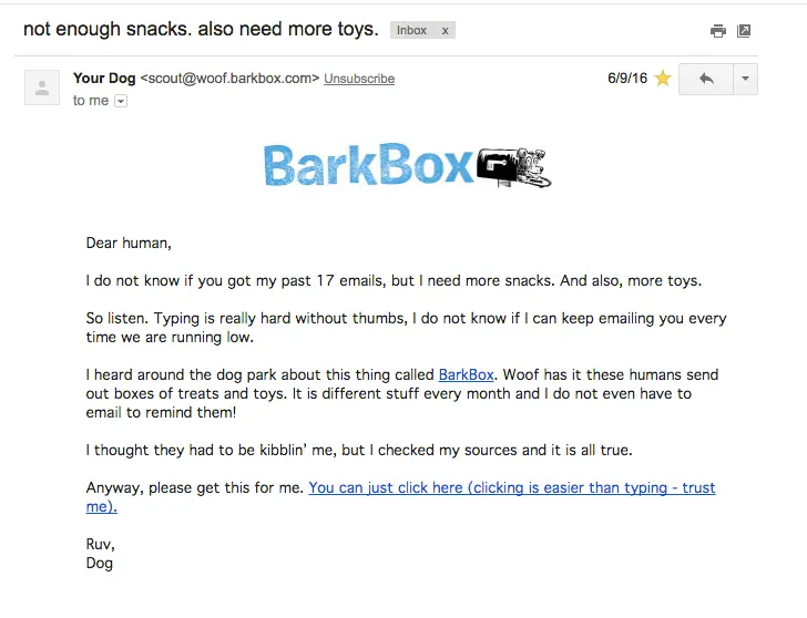 What We Can Learn From 3 Pet-Friendly Email Designs