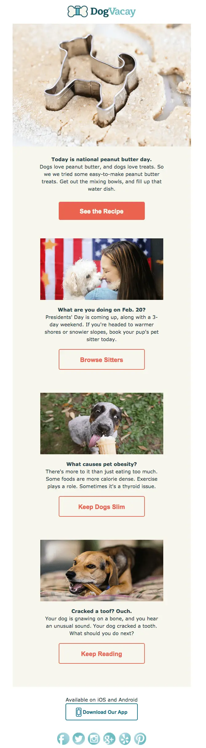 What We Can Learn From 3 Pet-Friendly Email Designs