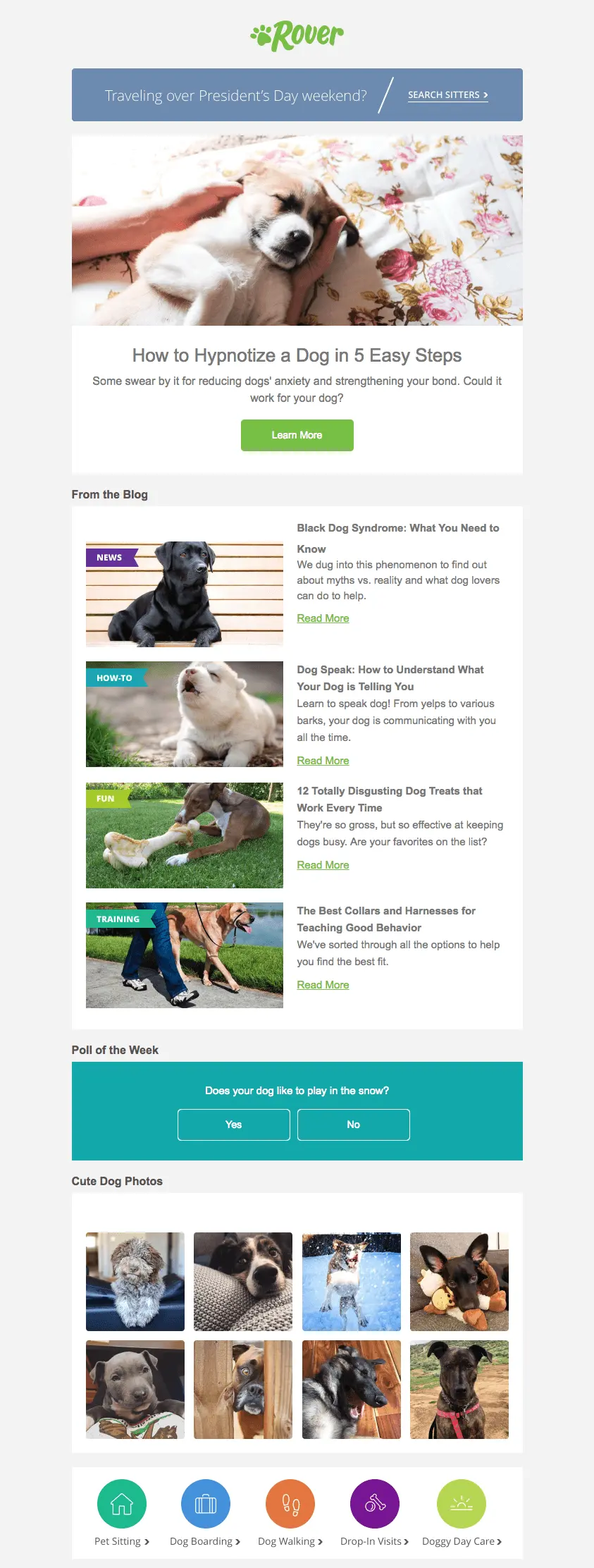 What We Can Learn From 3 Pet-Friendly Email Designs