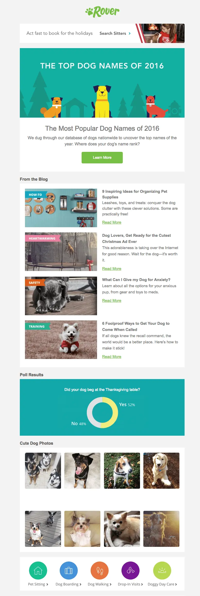 What We Can Learn From 3 Pet-Friendly Email Designs