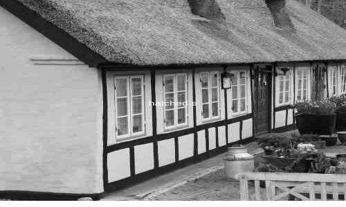 10 Most Popular Cottage Extension Ideas in Ireland