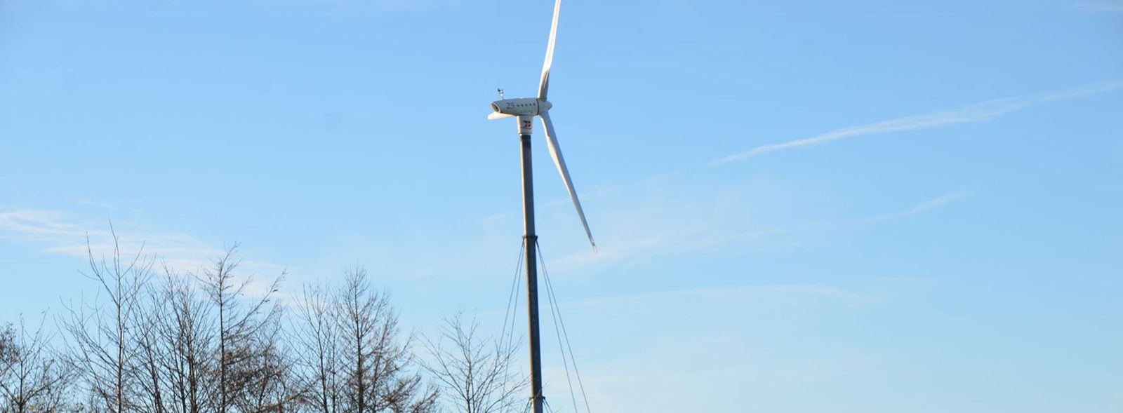 What does a domestic wind turbine cost? | 2024