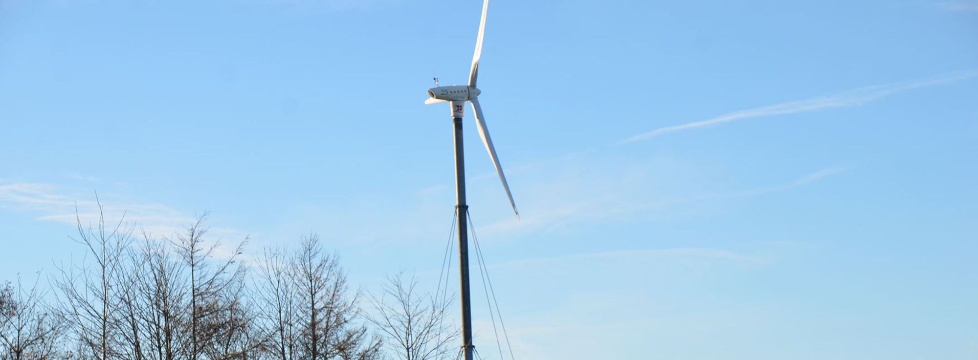 What does a domestic wind turbine cost? | 2024