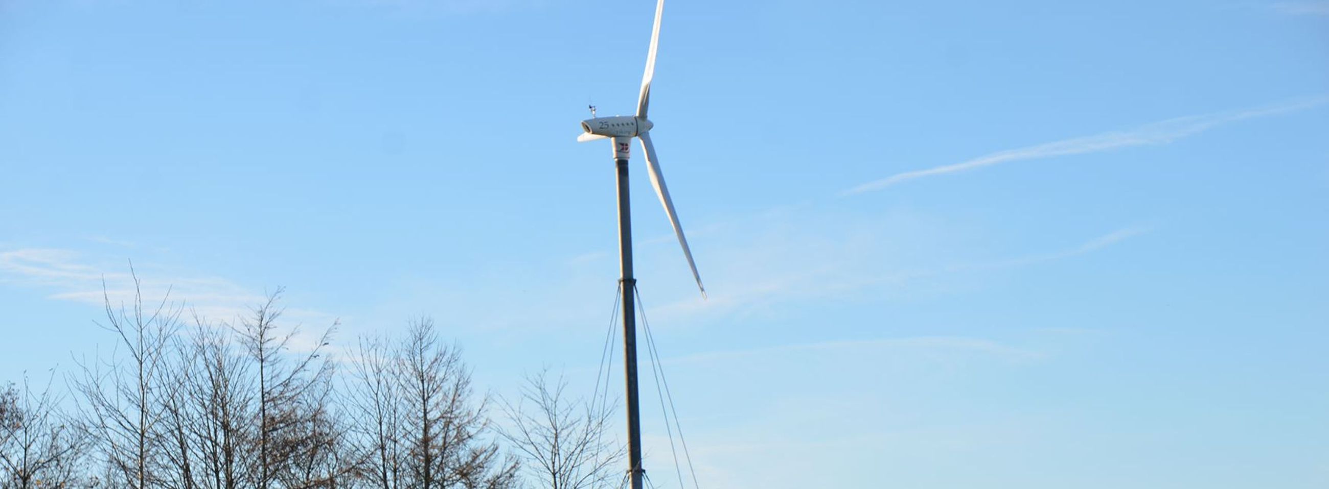 What does a domestic wind turbine cost? | 2024
