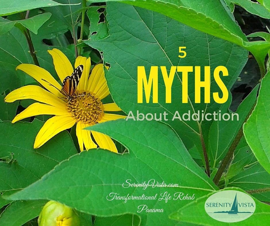 Five (more) Myths of Addiction Treatment - Serenity Vista