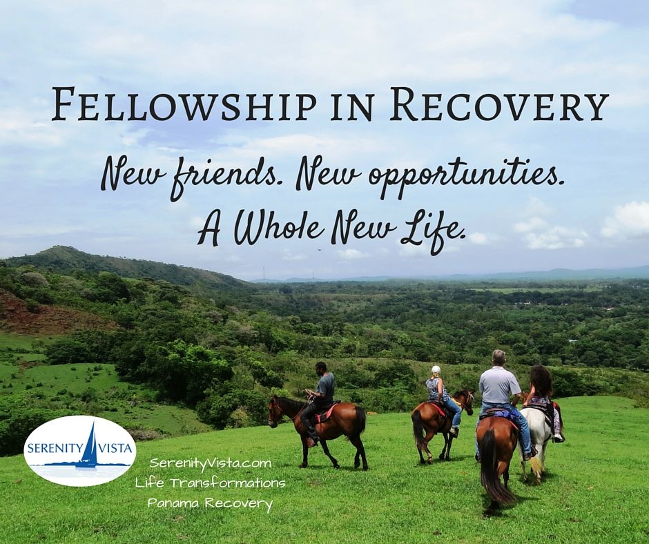 Addiction Recovery Fellowship - Serenity Vista