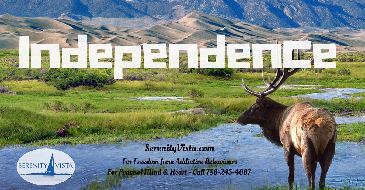 Independence from Addiction - Serenity Vista