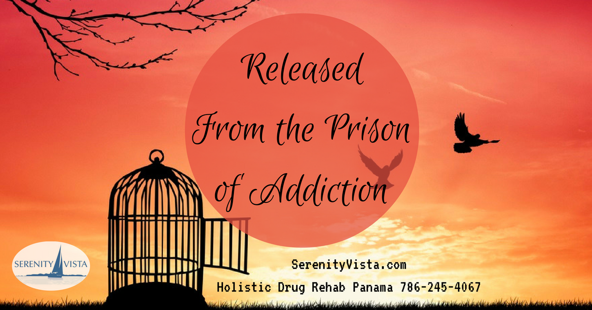Prison of Addiction - Serenity Vista