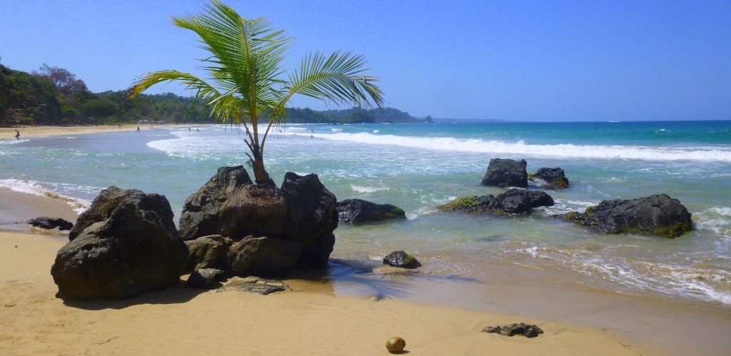 Living in the Moment at Tropical Drug Rehab - Serenity Vista