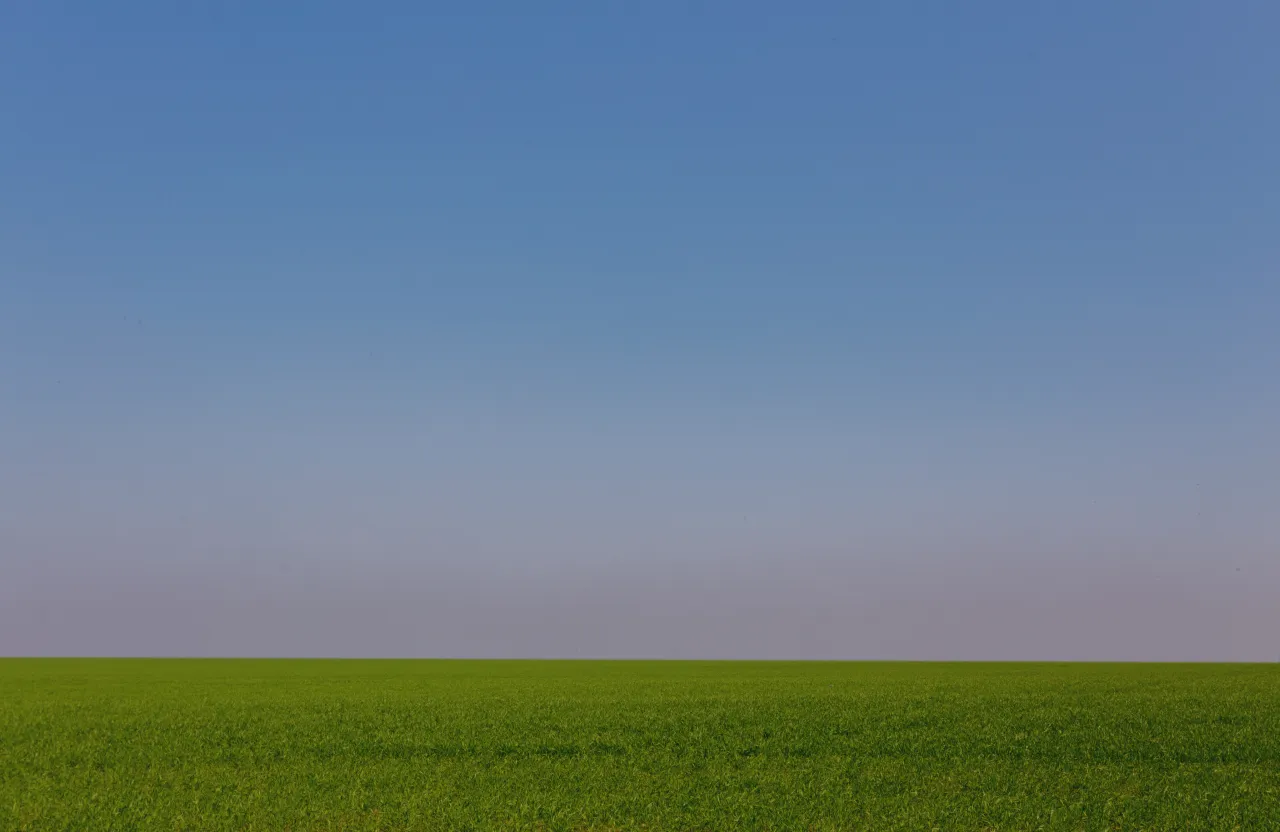 Asterix Foods | Revolutionizing the Food Industry: The Mission of a ...