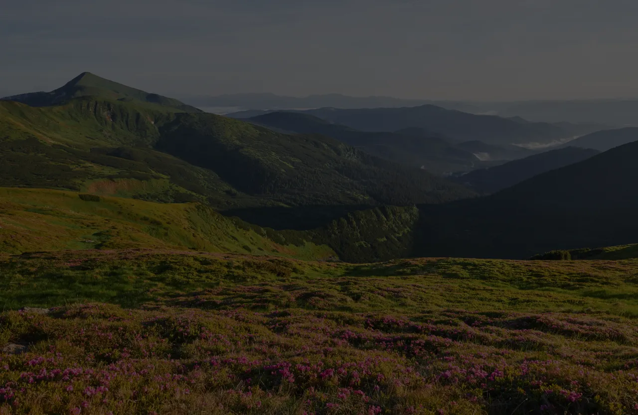 Asterix Foods | Revolutionizing the Food Industry: The Mission of a ...