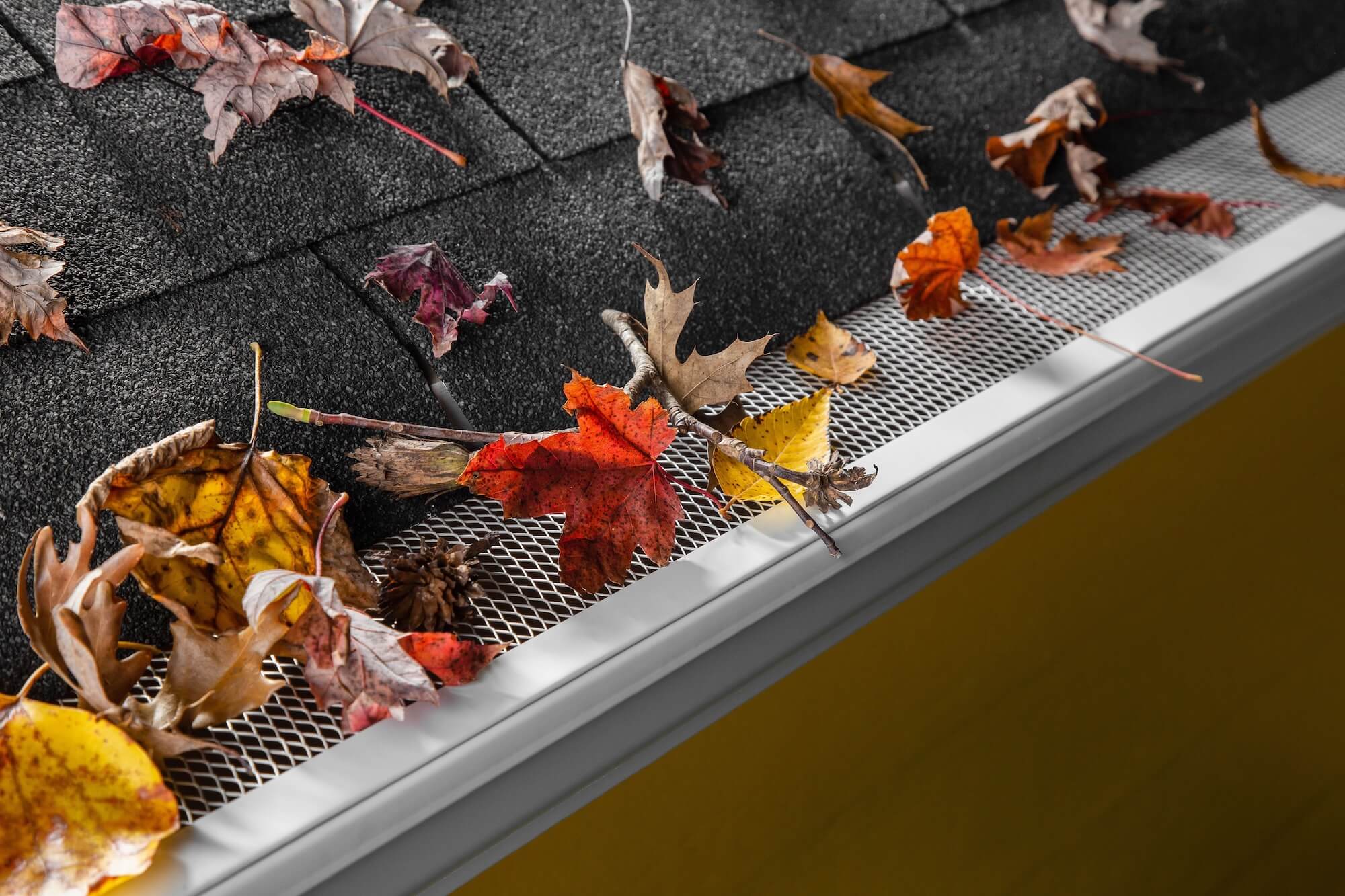 Gutter Downspouts & Extensions | Spectra Pro Select