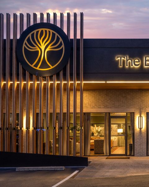 Banyan Tree Athens Ga