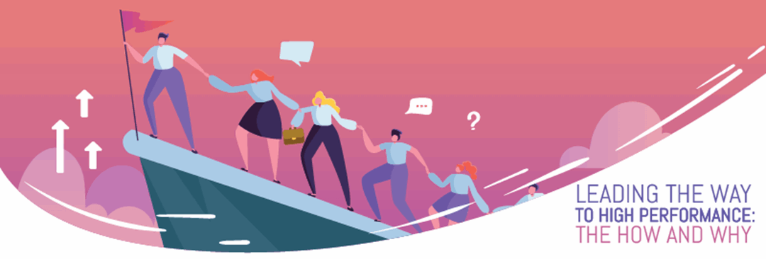 The question of leadership in high performing teams