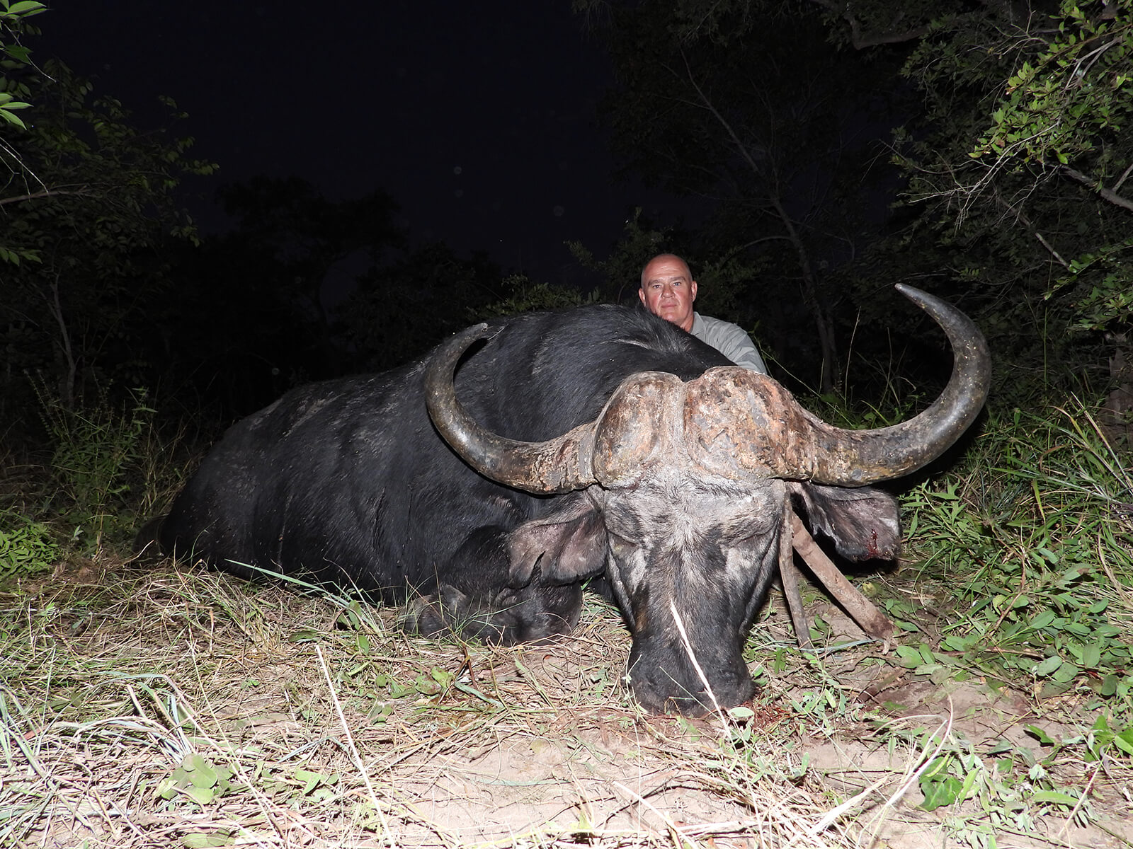 Thrilling African buffalo Hunting Expeditions with Balkan Hunters Club