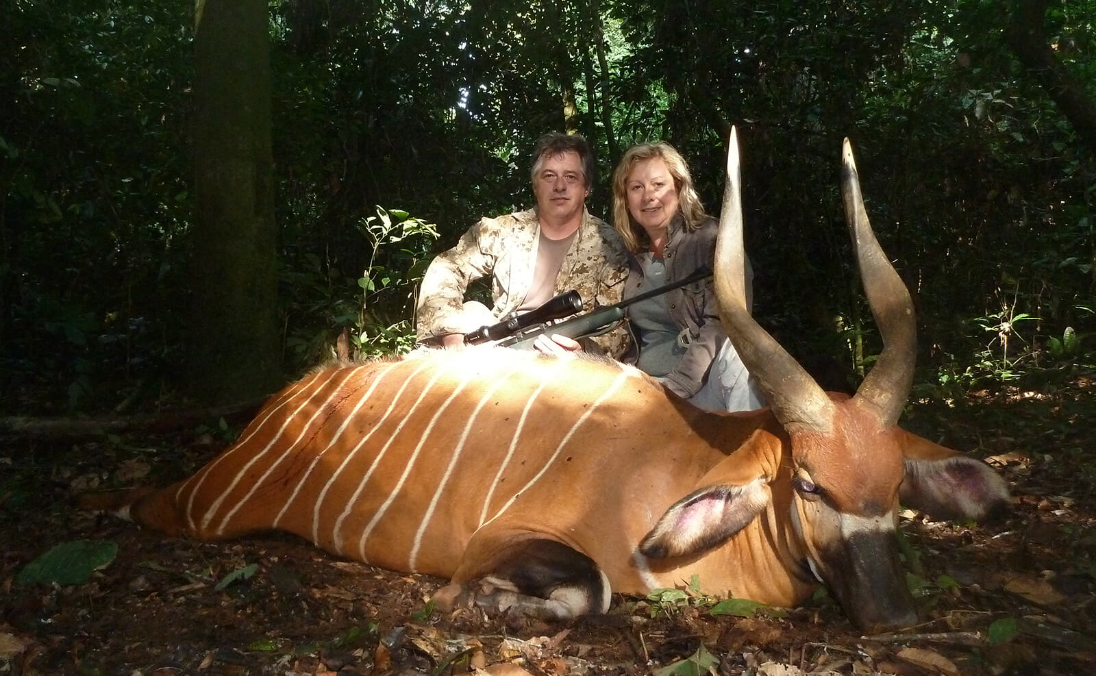 Thrilling Bongo Hunting Expeditions with Balkan Hunters Club