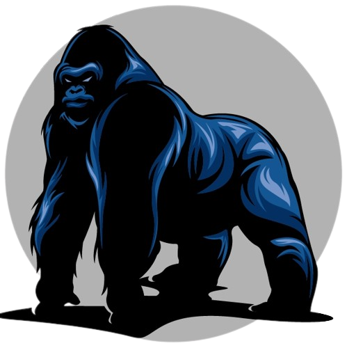 Home | Silverback Plumbing and Drain