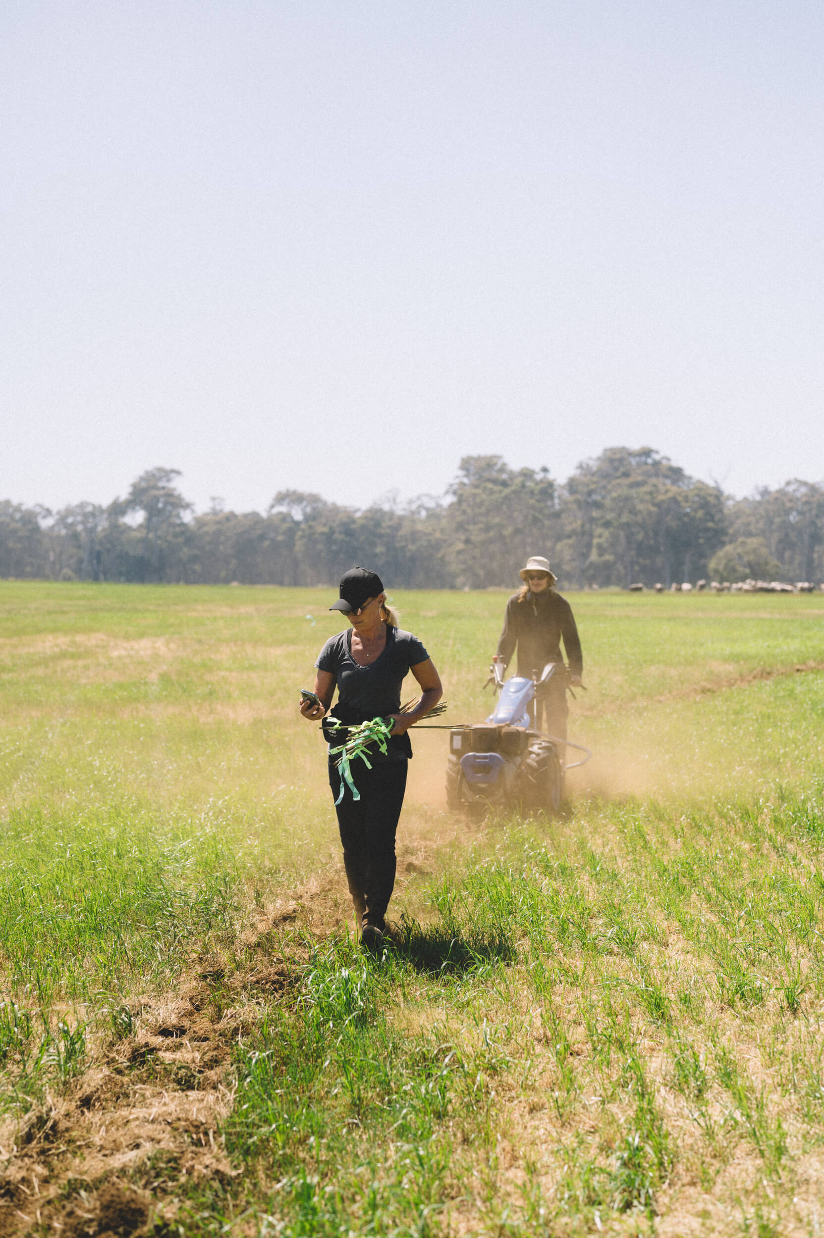 Water Traces | The Farm