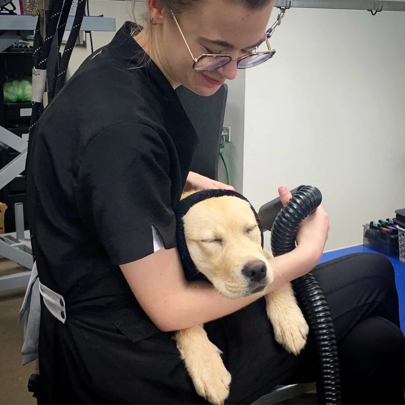 Join Our Grooming Team | Upper Hound Dog Grooming