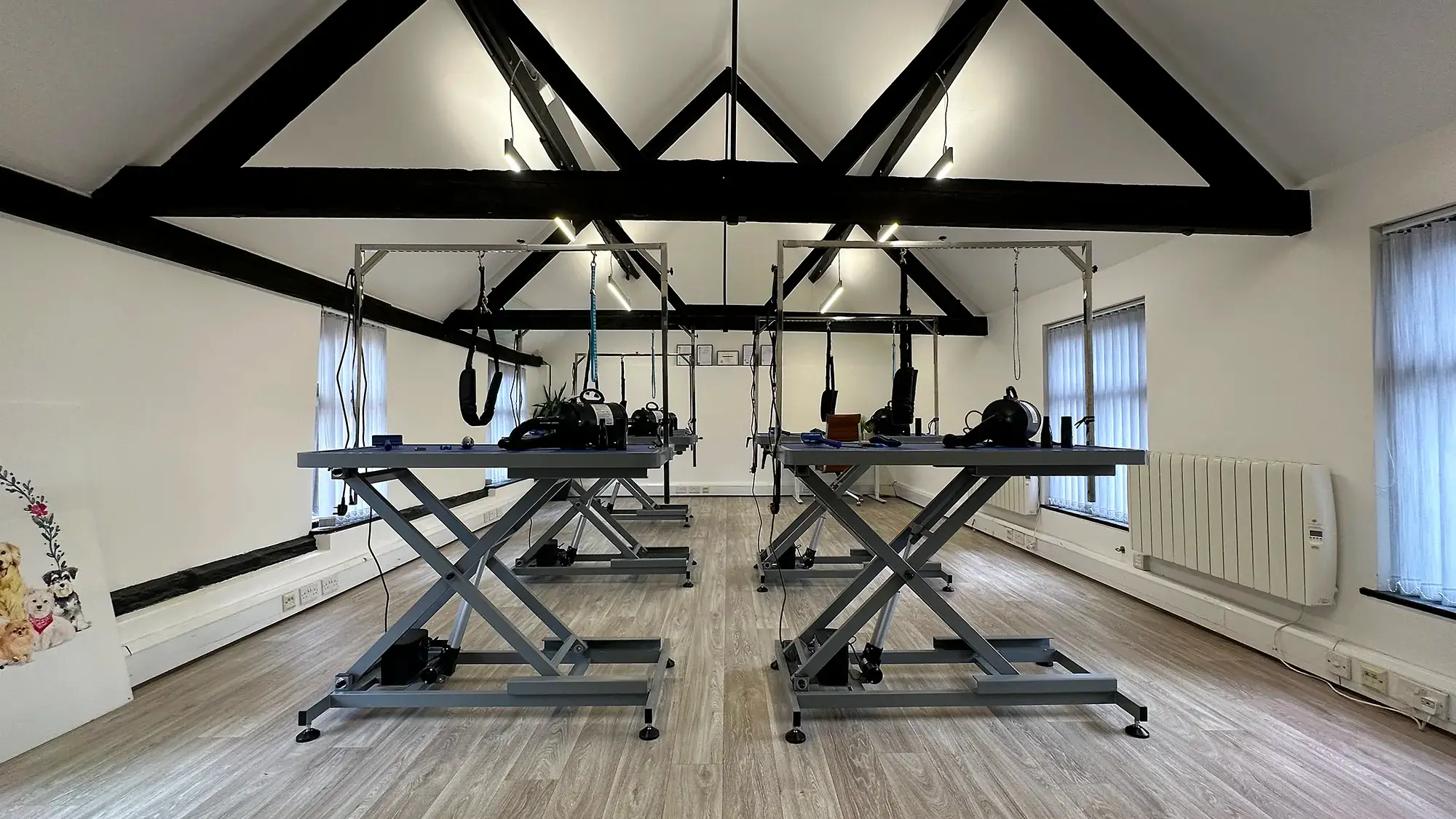 Level-3 Diploma in Dog Grooming