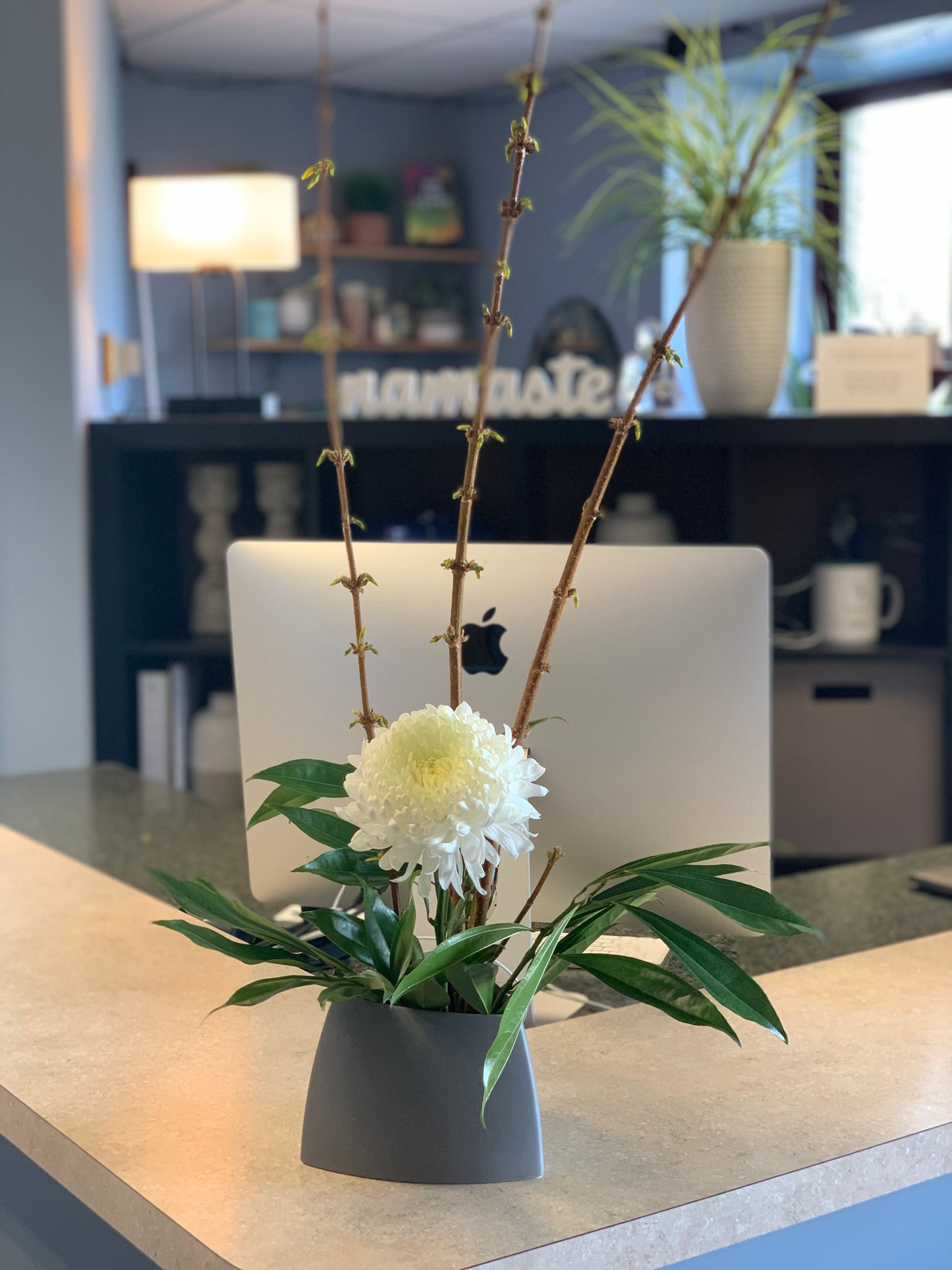 Verge Yoga Center - Verge On Demand