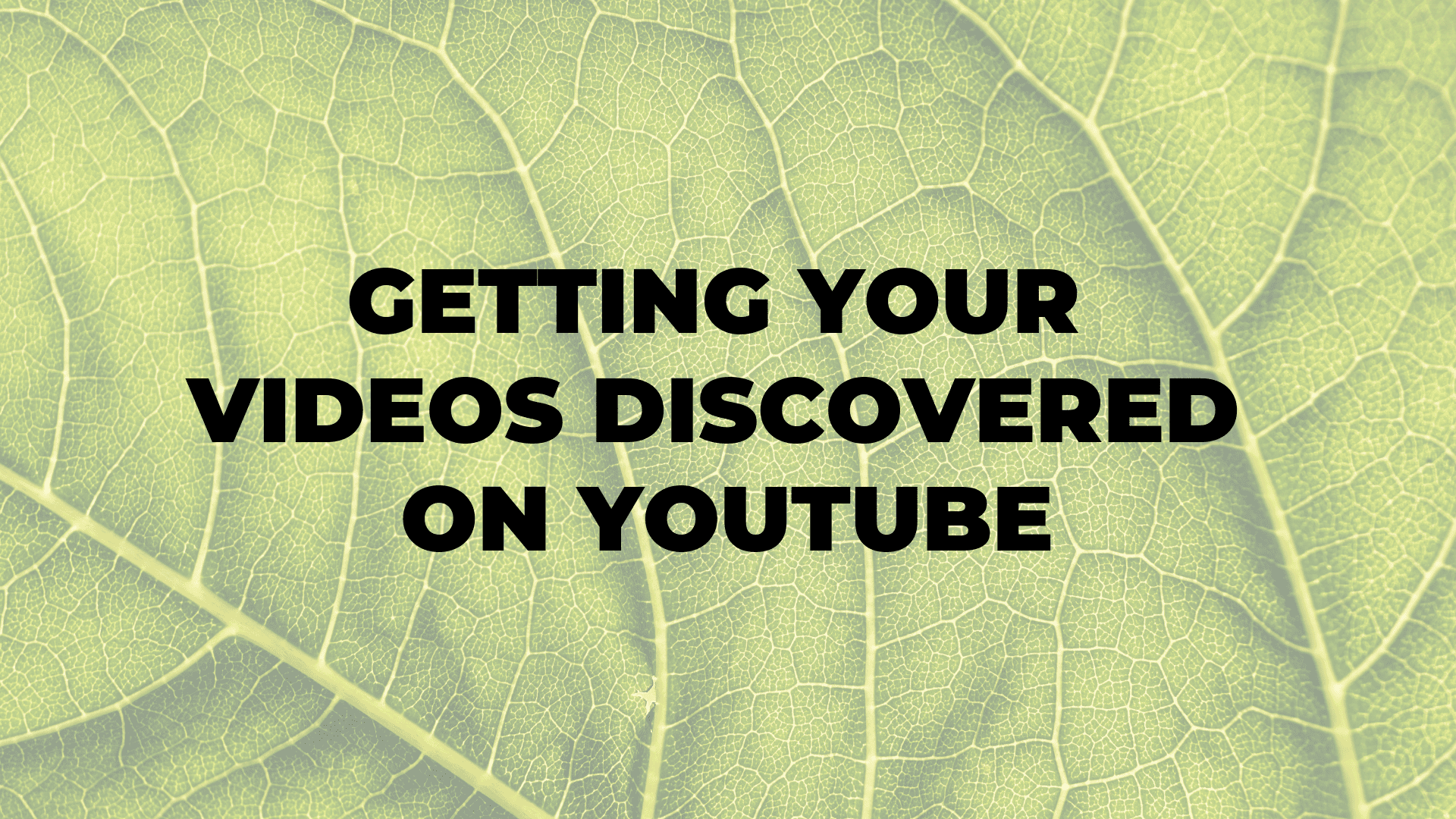 Getting Your Videos Discovered on YouTube - 99dollarsocial