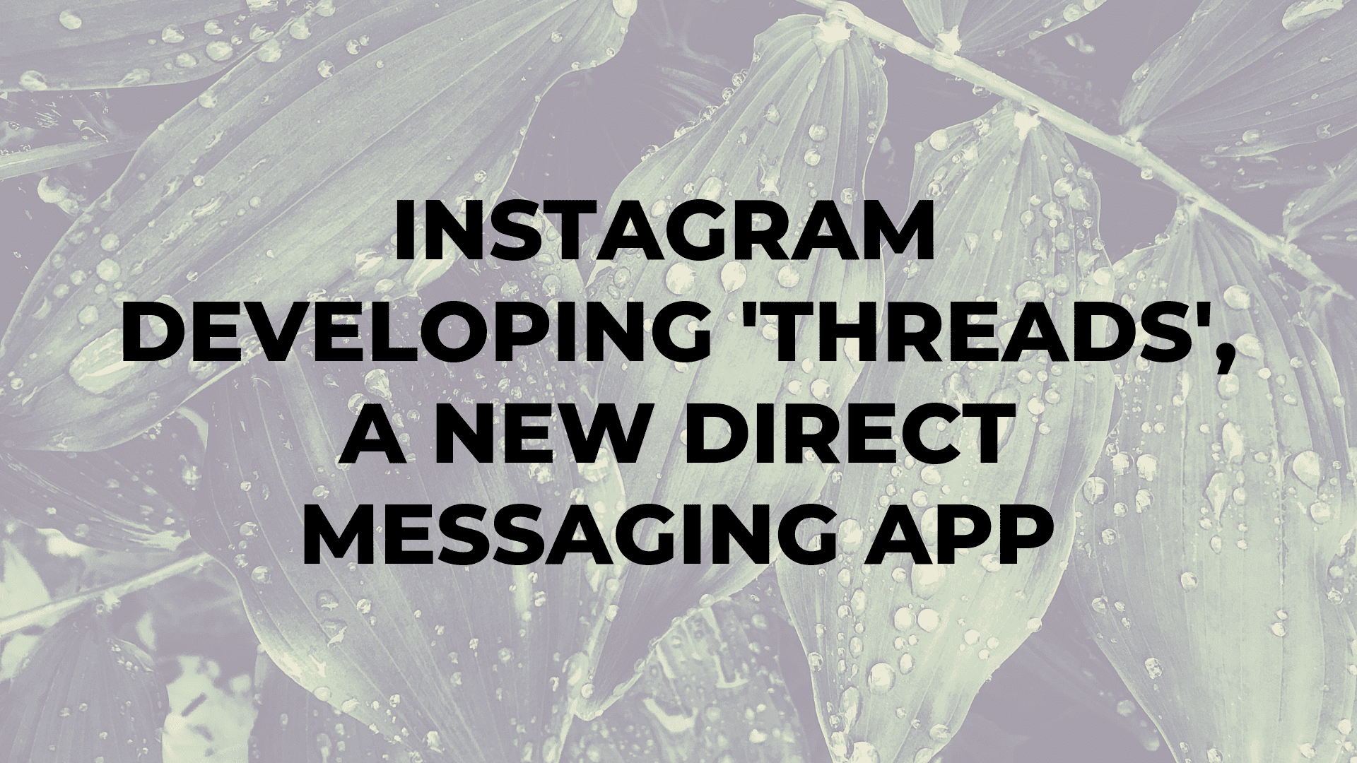 Instagram Developing 'Threads', a New Direct Messaging App - 99dollarsocial