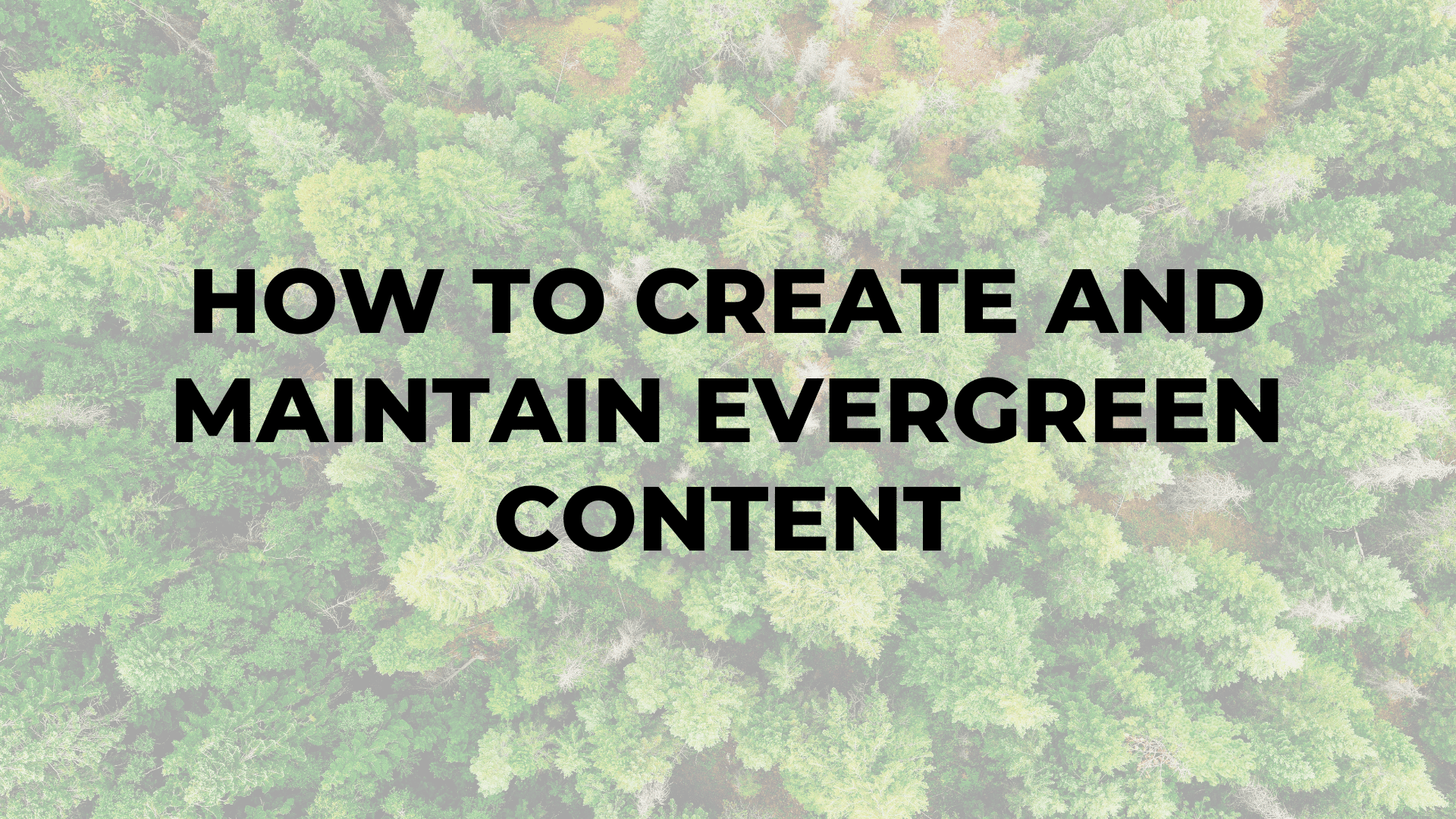 How to Create and Maintain Evergreen Content - 99dollarsocial