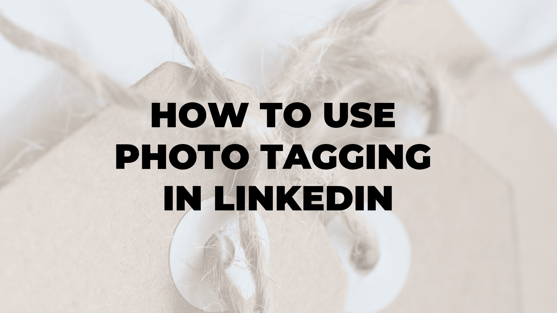 How to Use Photo Tagging in LinkedIn - Startech X - Webflow Ecommerce ...